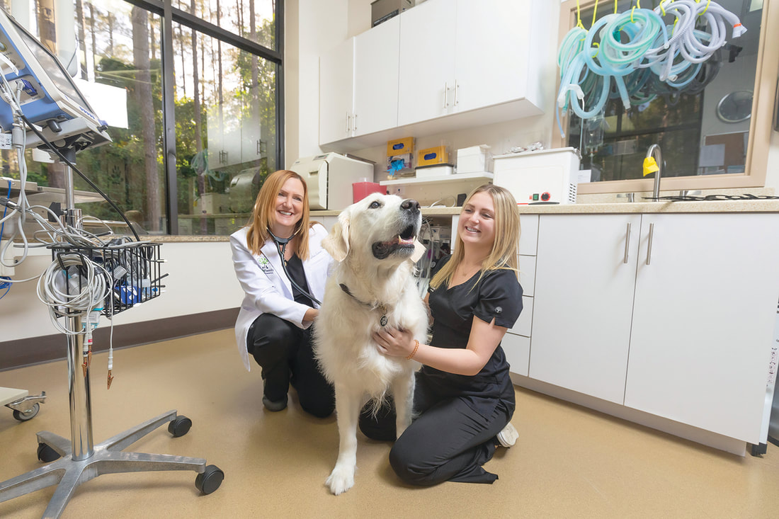 Where Excellence in Client and Pet Experience Take Center Stage! - Pets ...